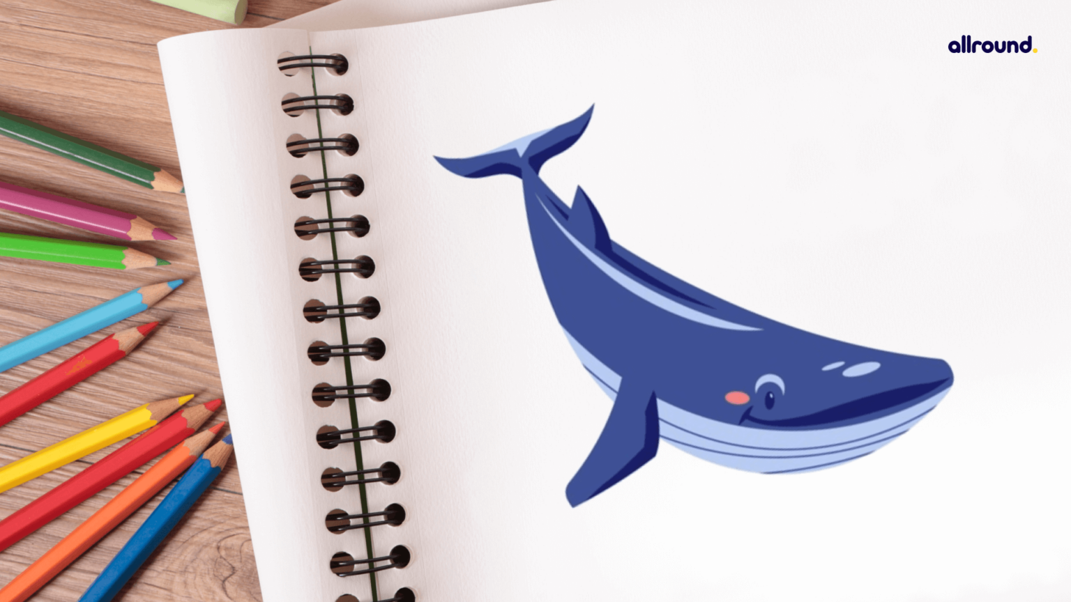 How to Draw a Whale? - Step by Step Drawing Guide for Kids