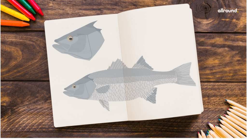 How to Draw a Fish Head? - Step by Step Drawing Guide for Kids