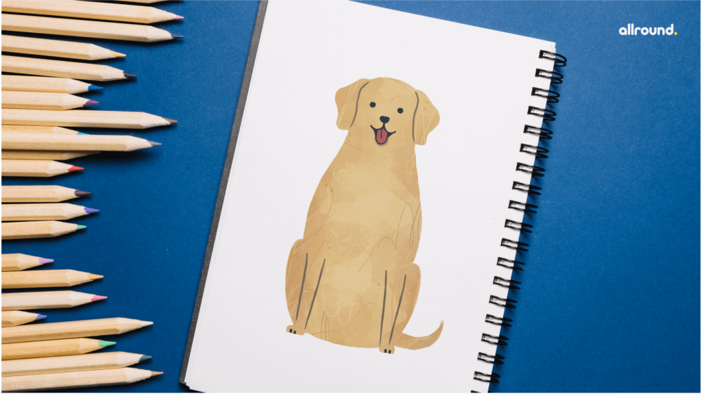 How to Draw a Labrador? - Step by Step Drawing Guide for Kids