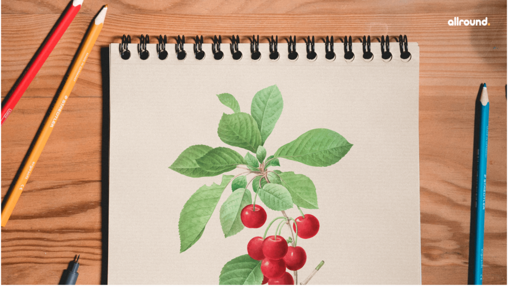How to Draw a Cherry? - Step by Step Drawing Guide for Kids