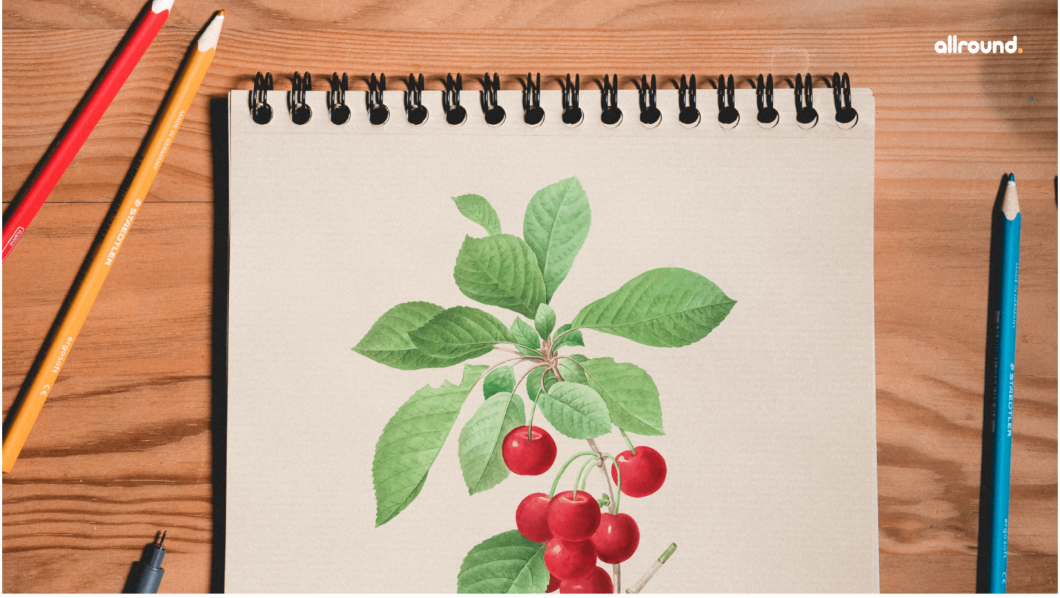 How to Draw a Cherry? - Step by Step Drawing Guide for Kids