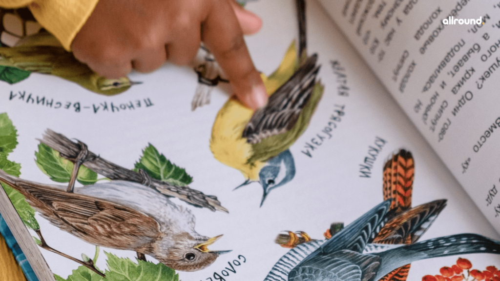 An Easy and Interesting Bird Study for your Homeschool